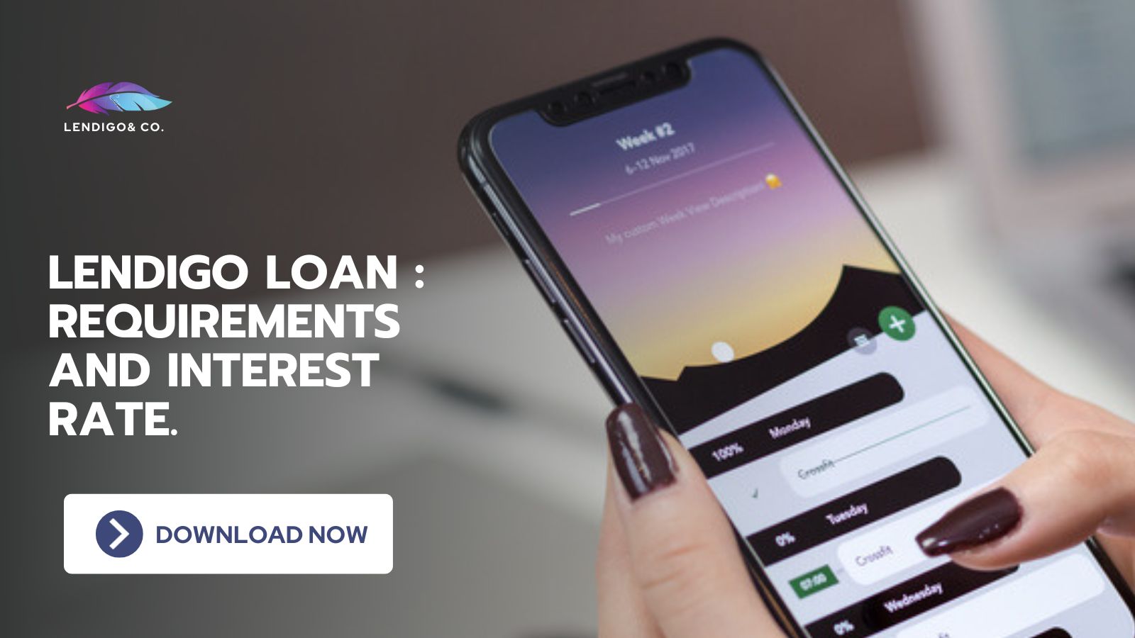 Lendigo Loan : Requirements And Interest Rate.